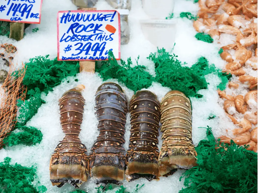 Top 5 Frozen Lobster Tails for Your Freezer – My Frozen Picks