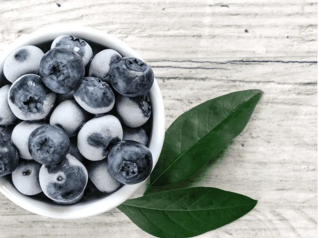 The 5 Best Frozen Blueberries to Stock in Your Freezer – My Frozen Picks